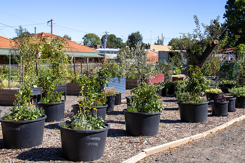 Mooroolbark Community Garden Yarra Ranges Council