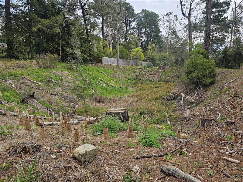 Puddle Dam Reserve Yarra Ranges Council